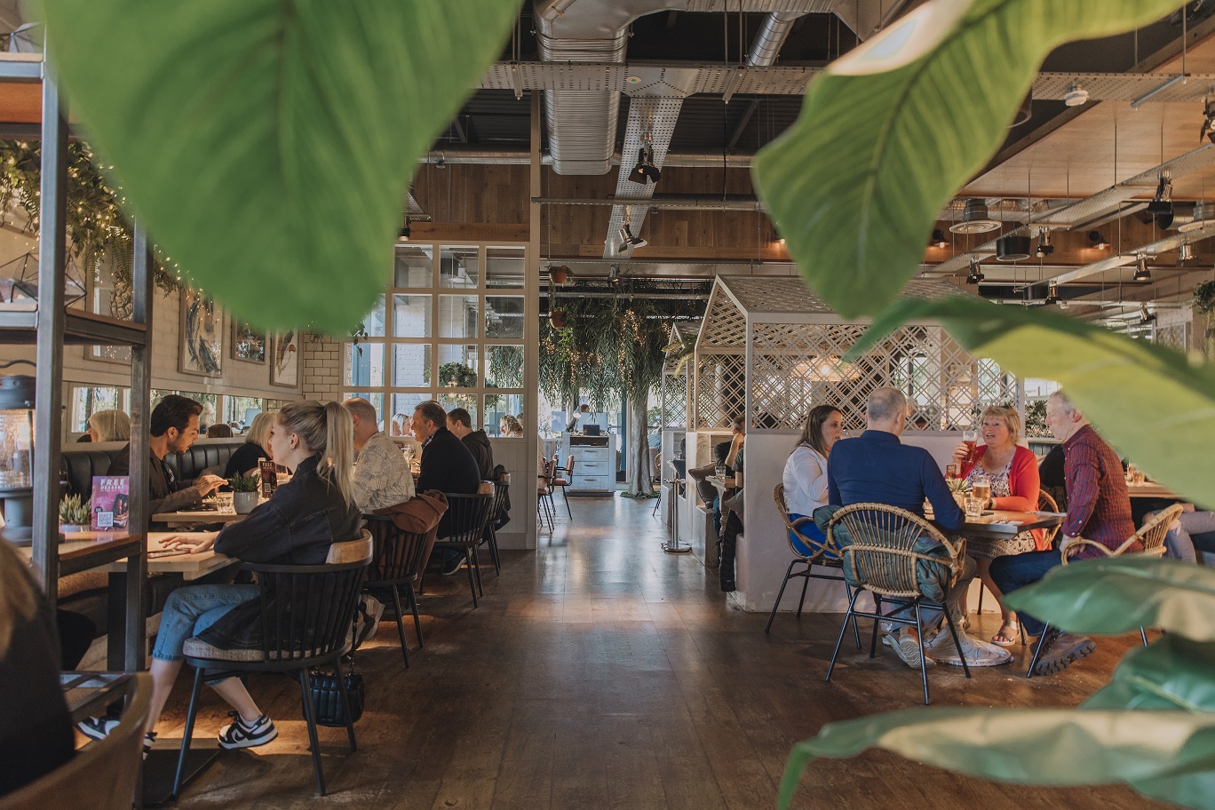 New Vegan Menu at Willow in Trentham